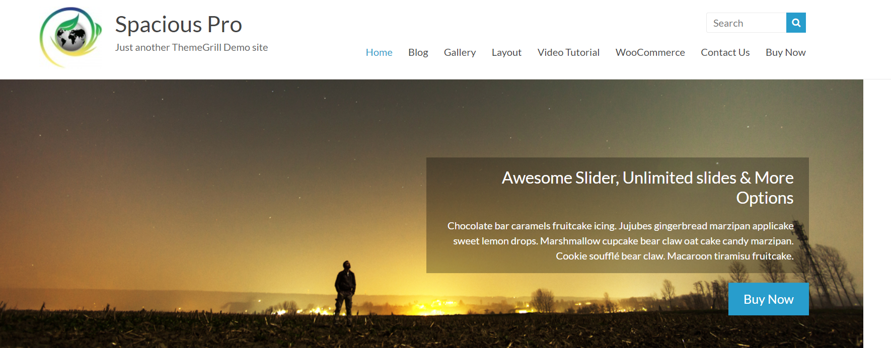 Top 25 Best WordPress Business Themes 2025